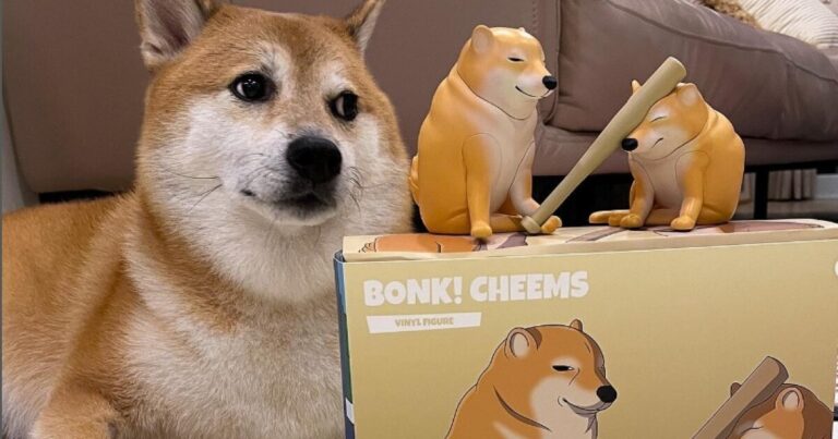 Cheems: La Leyenda del Shiba que Trasendio del Meme – Movistar GameClub ...